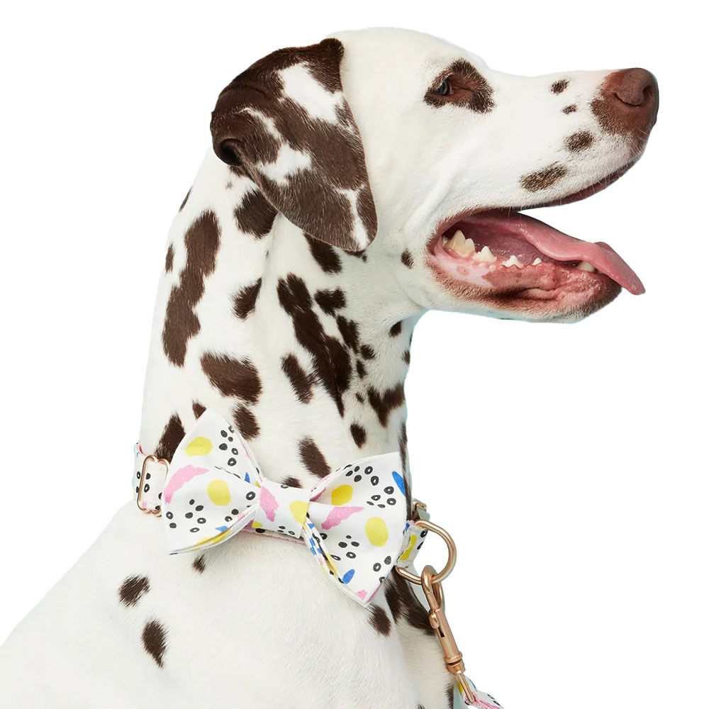 Dog bow tie nz store
